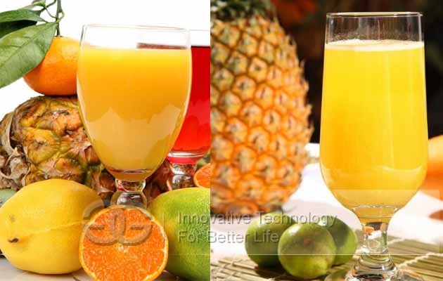 Pineapple Juice Extractor Machine Sold to Costa Rica