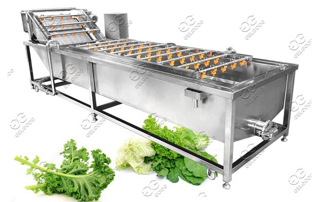 How To Choose The Right Fruit Vegetable Washer?