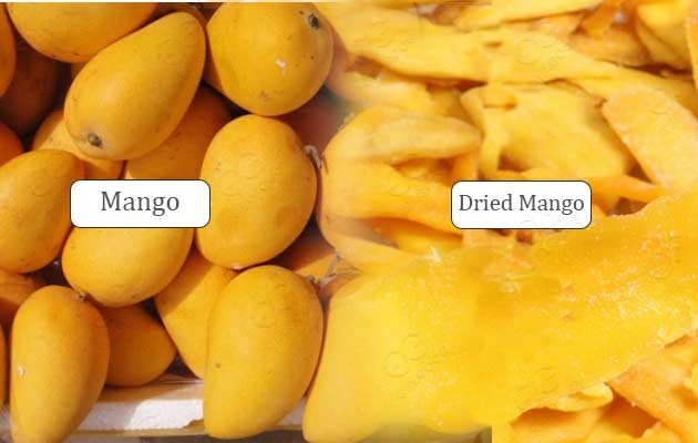 Introduction of Dried Mango Processing — gelgoog.com