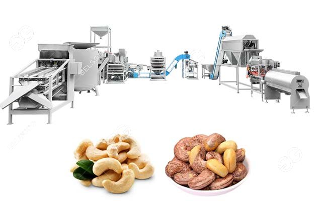 To Develop Cashew Processing Business