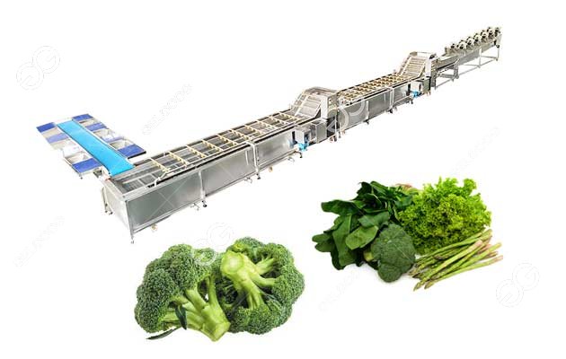 40 tons/day New Vegetable Cleaning Machine Sold to Mexico