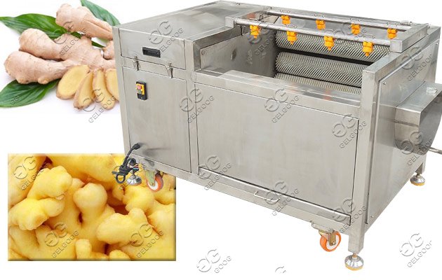 Ginger Chips Processing Line|Ginger Washing and Cutting Machine