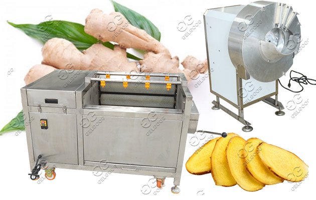 Ginger Chips Processing Line|Ginger Washing and Cutting Machine