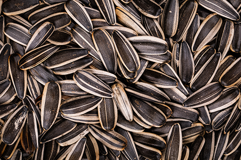 Products | Gelgoog Group