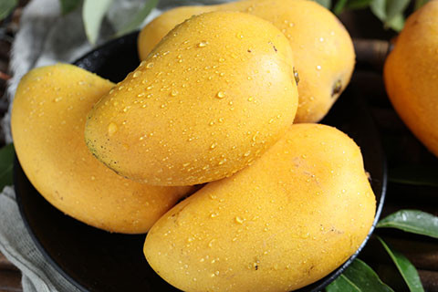 Products | Gelgoog Group